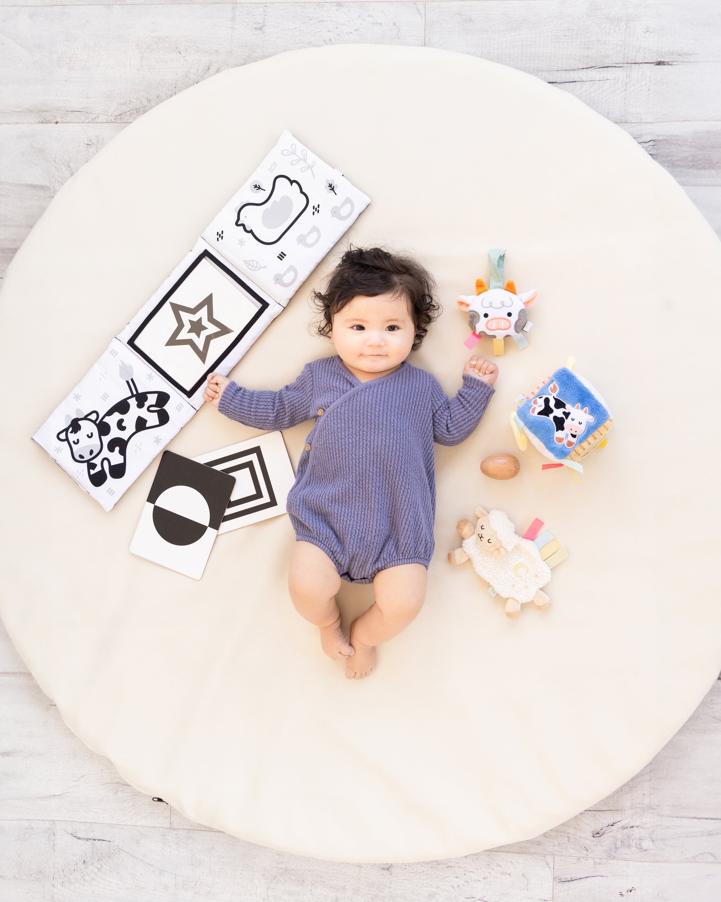 Special gifts & keepsakes for baby, pet, & holiday by Pearhead