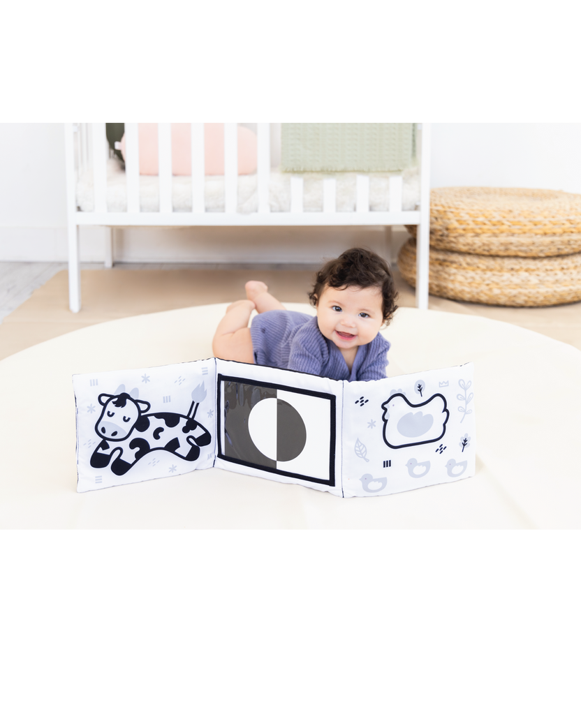 Special gifts & keepsakes for baby, pet, & holiday by Pearhead
