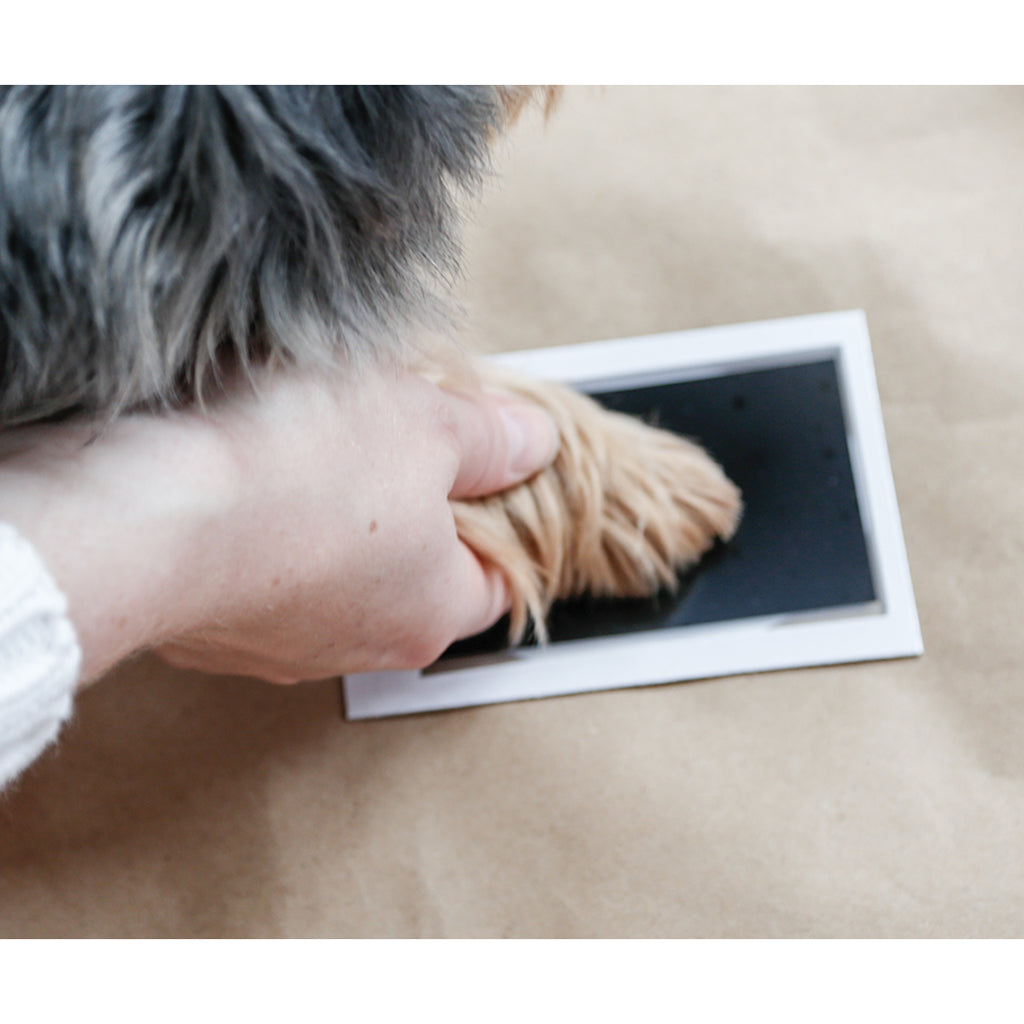 clean-touch ink pad – Pearhead