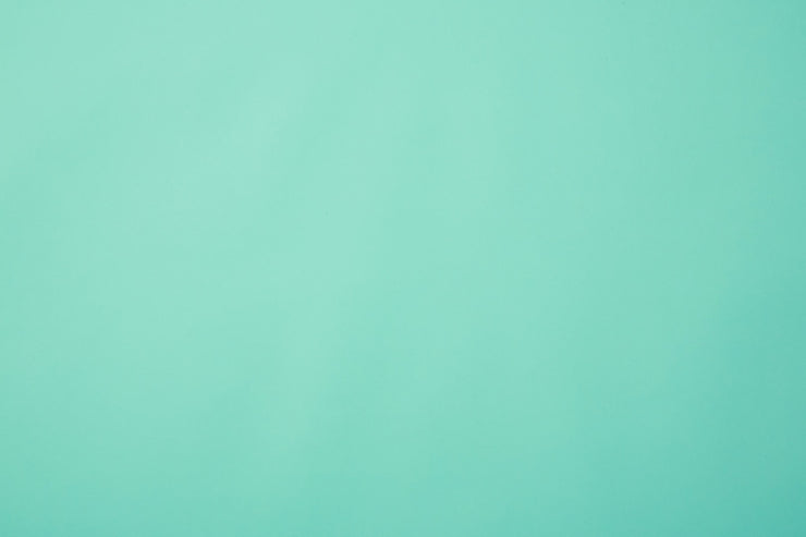 Plain Light Mint Green Background